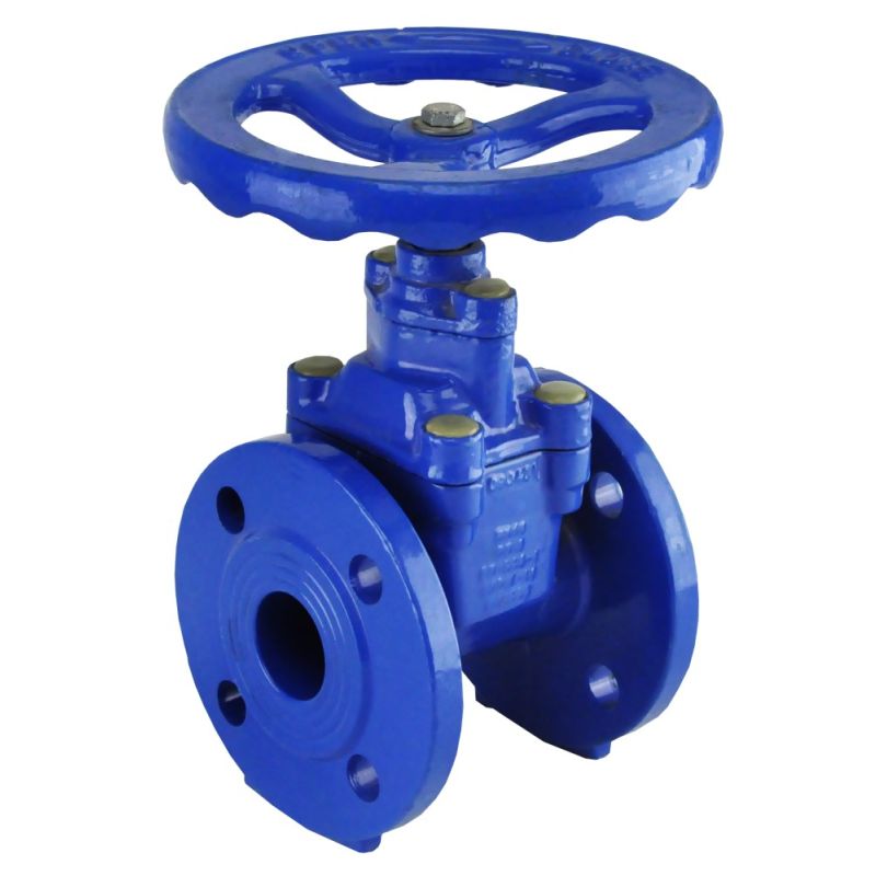 Gate valve DN 40 PN 16 with flange and rubber closures | Meg