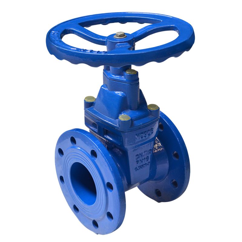Gate valve DN 125 PN 16 with flange and rubber closures | Me
