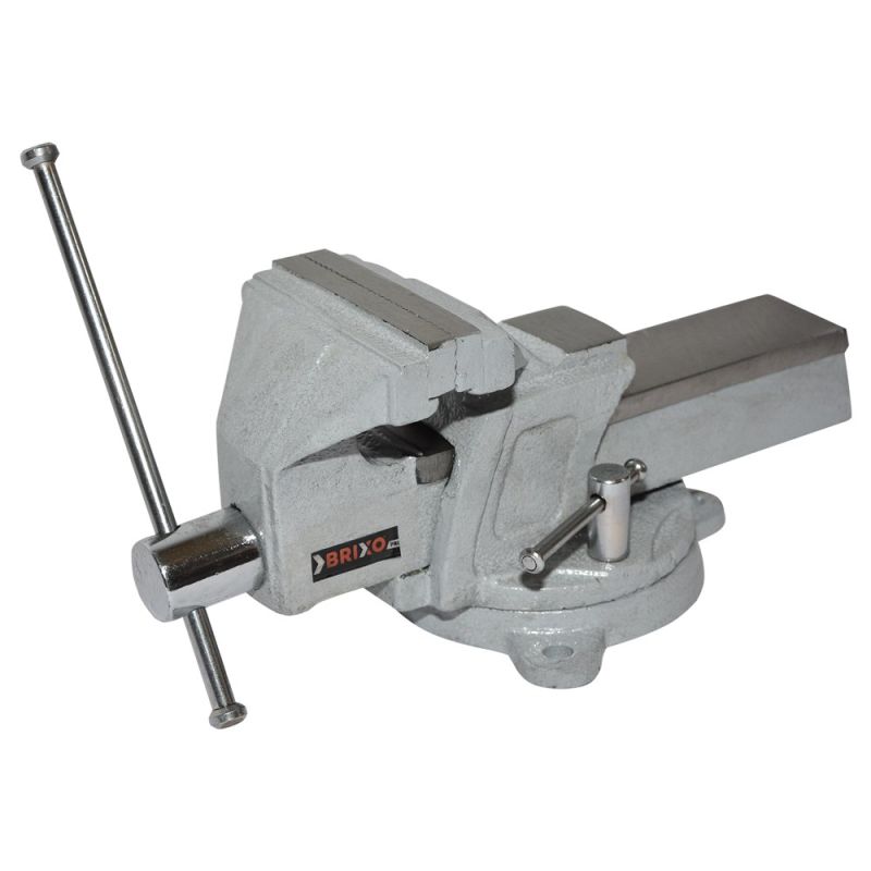 Cast iron vice mm.100 | Megatek