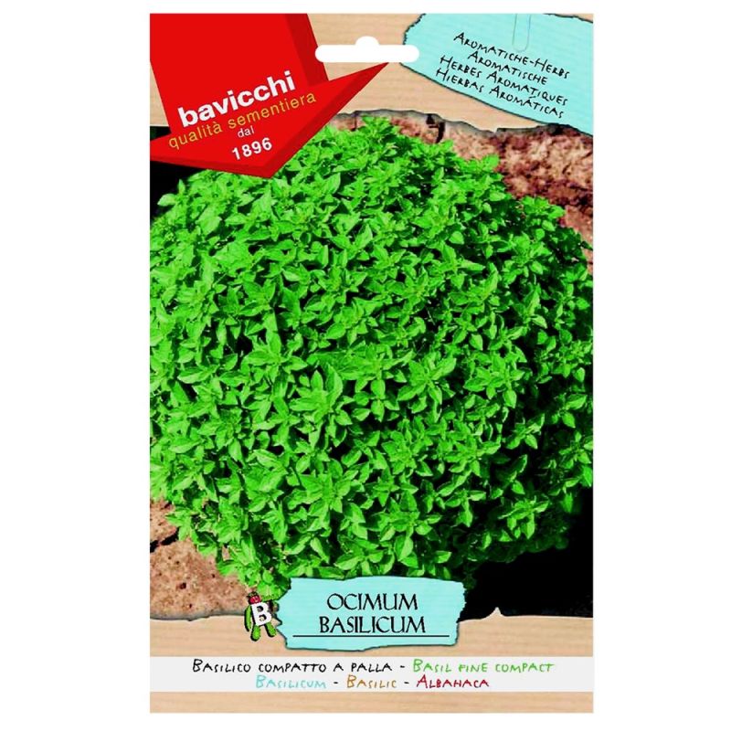Herbs plant seeds, basil fine compact | Megatek