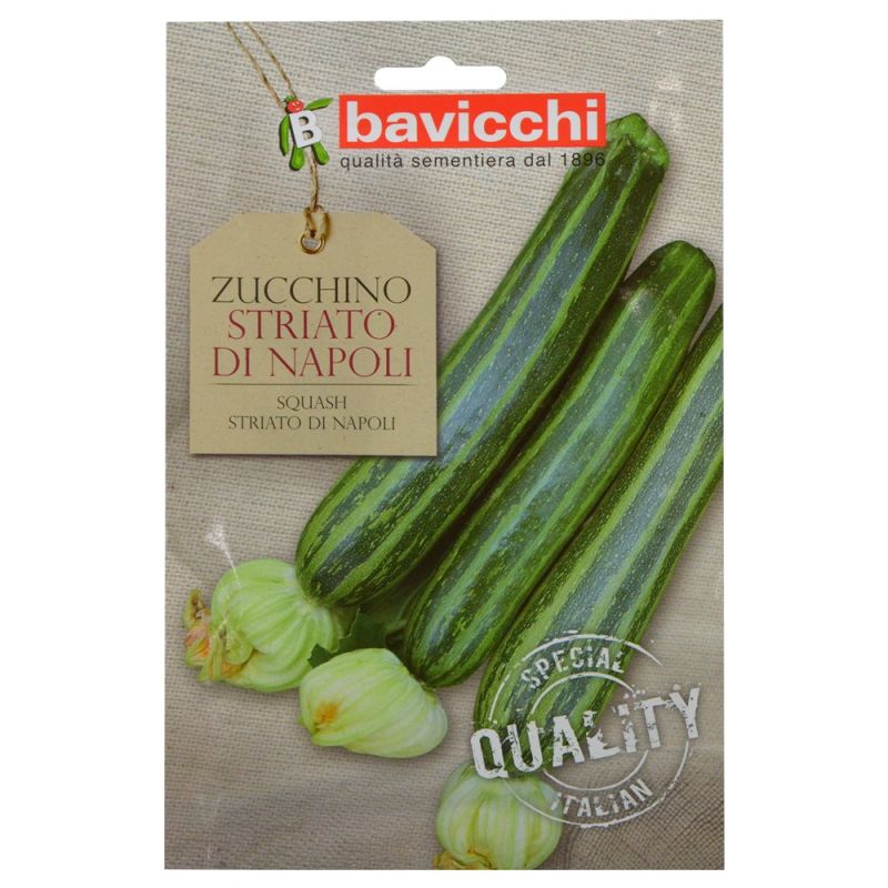 Vegetable seeds, zuchino napoli | Megatek